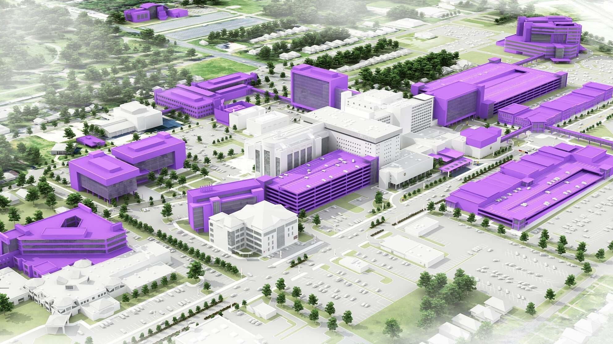 Louisiana State University - Health Master Plan